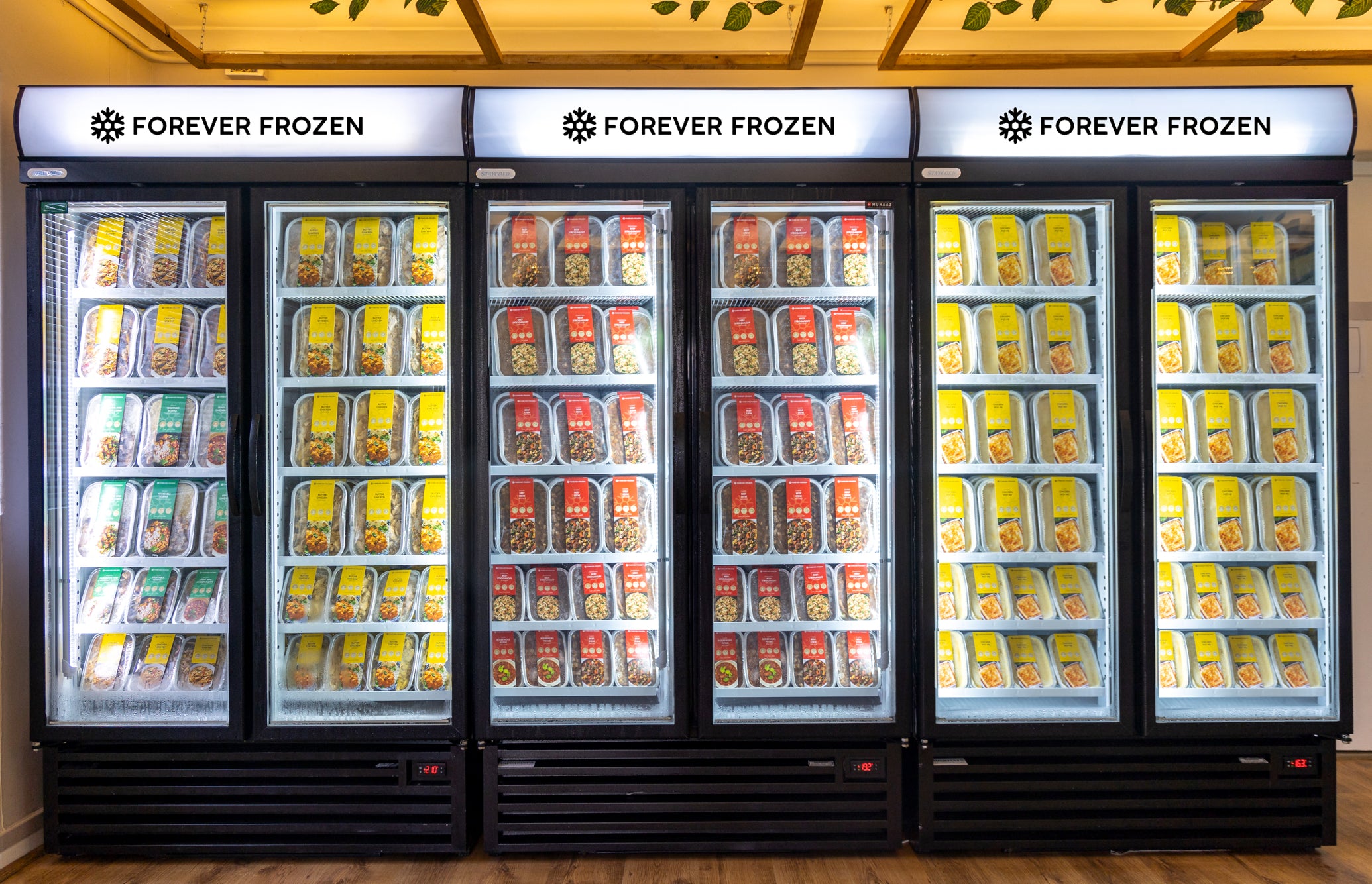 Forever Frozen - Home